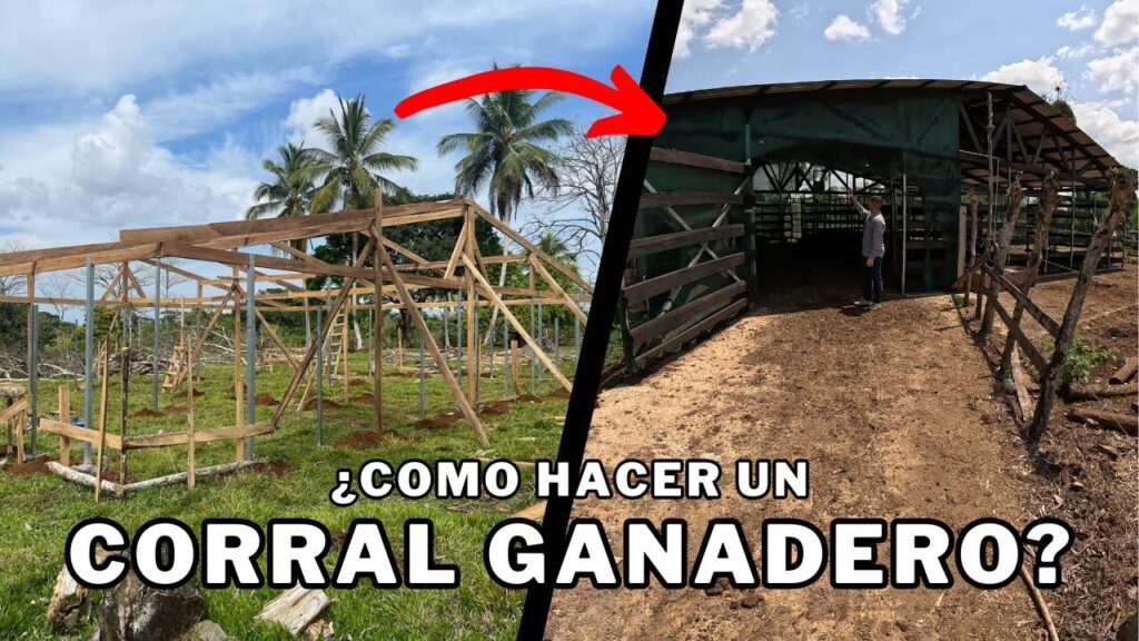 Cómo construir un establo en terreno rústico: guía paso a paso